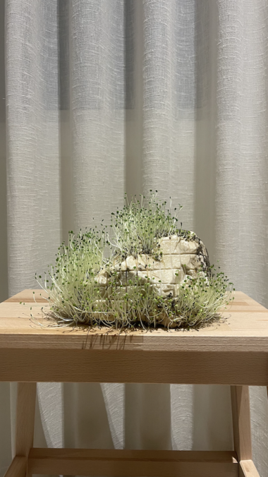 How a Qatari designer finds inspiration from nature - Khaleejesque