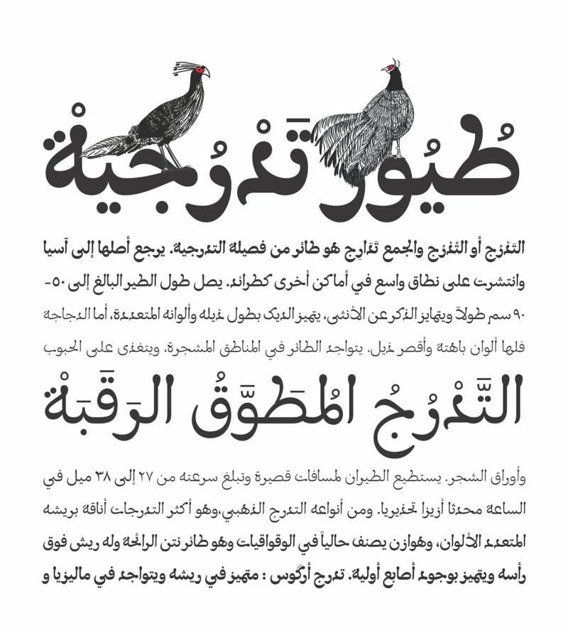 Exploring the whimsical world of Arabic typeface design - Khaleejesque